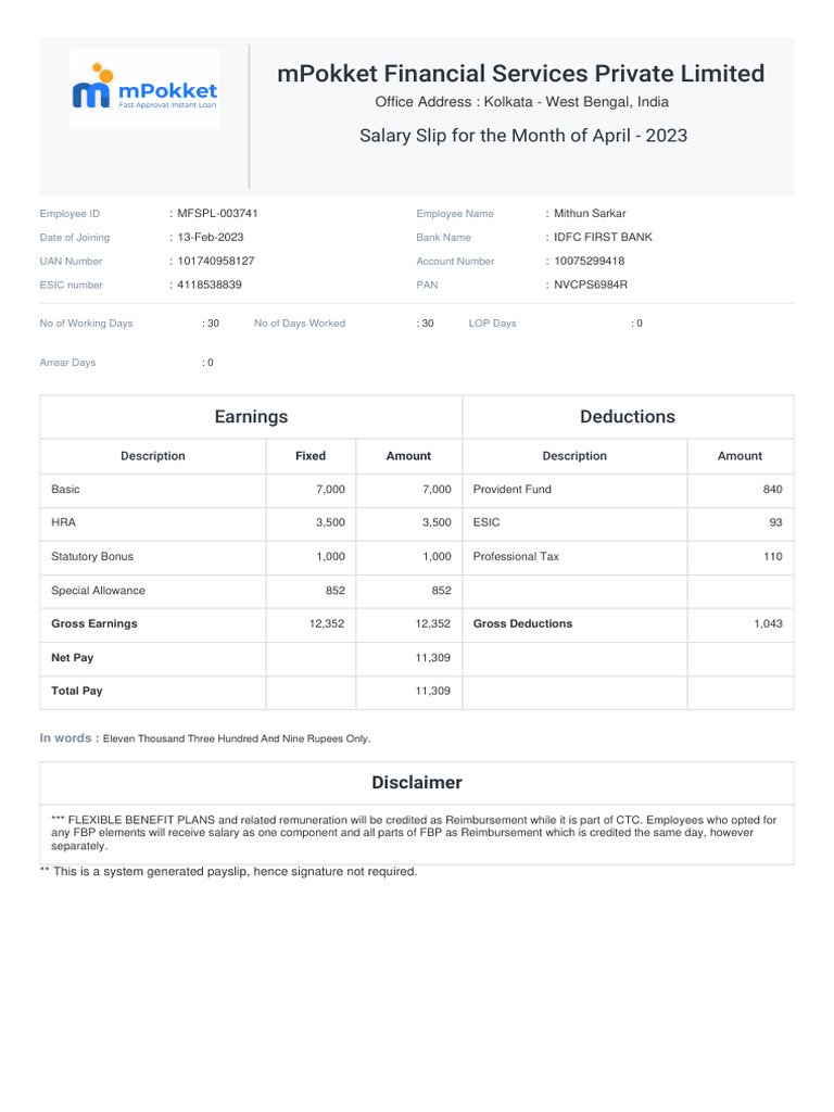 Payslip | PDF