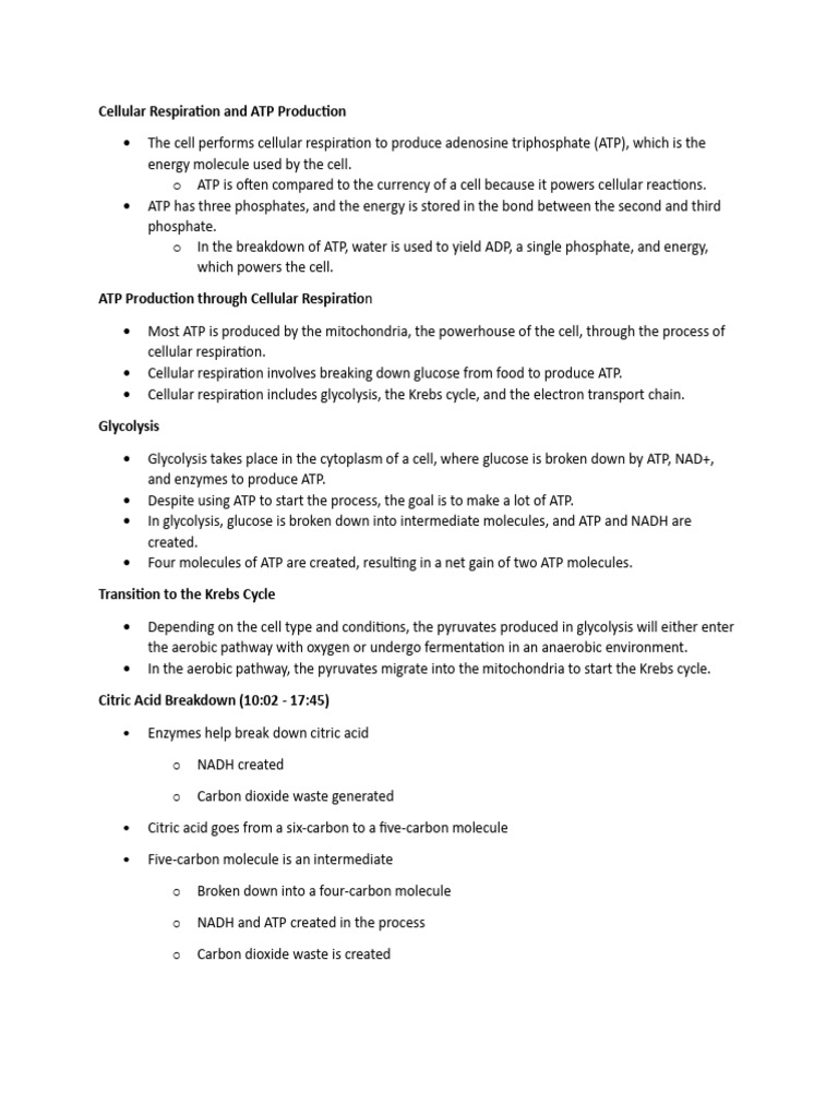 Cellular Respiration And Atp Production Pdf Cellular Respiration