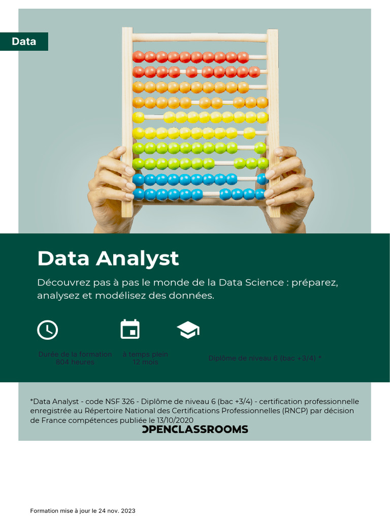 Formation Data Analyst : Devenez Expert en 12 Mois | PDF | Bases de ...