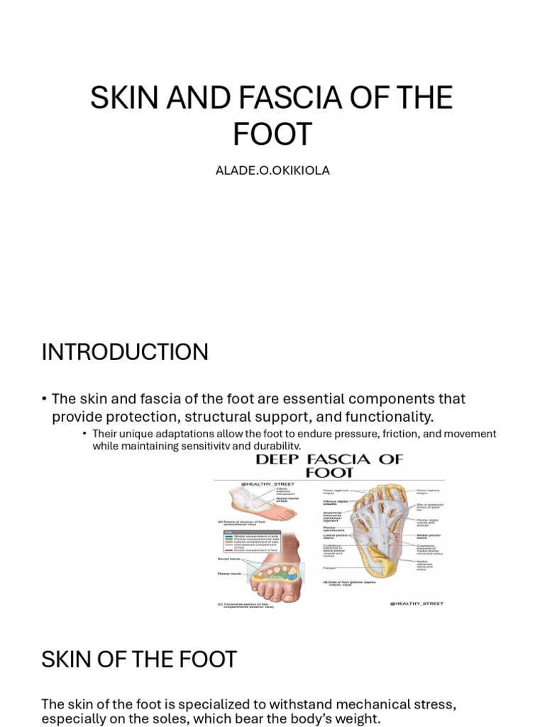 Anatomy of Foot Skin and Fascia | PDF | Skin | Foot