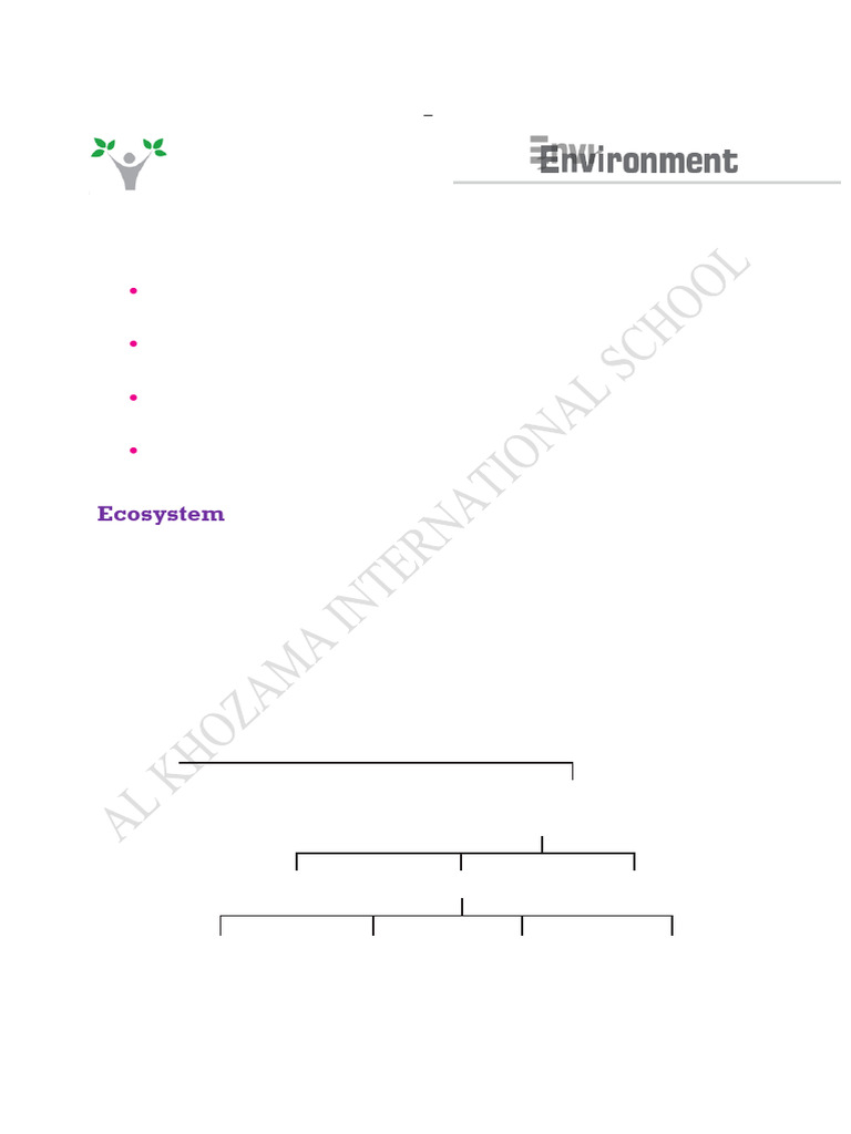 Our Environ Ment | PDF | Food Web | Ecosystem
