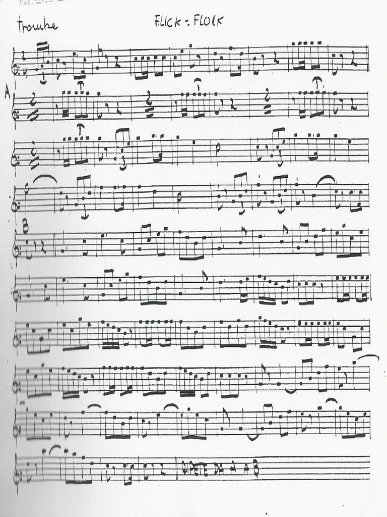 Flick-E-Flock Tromba | PDF