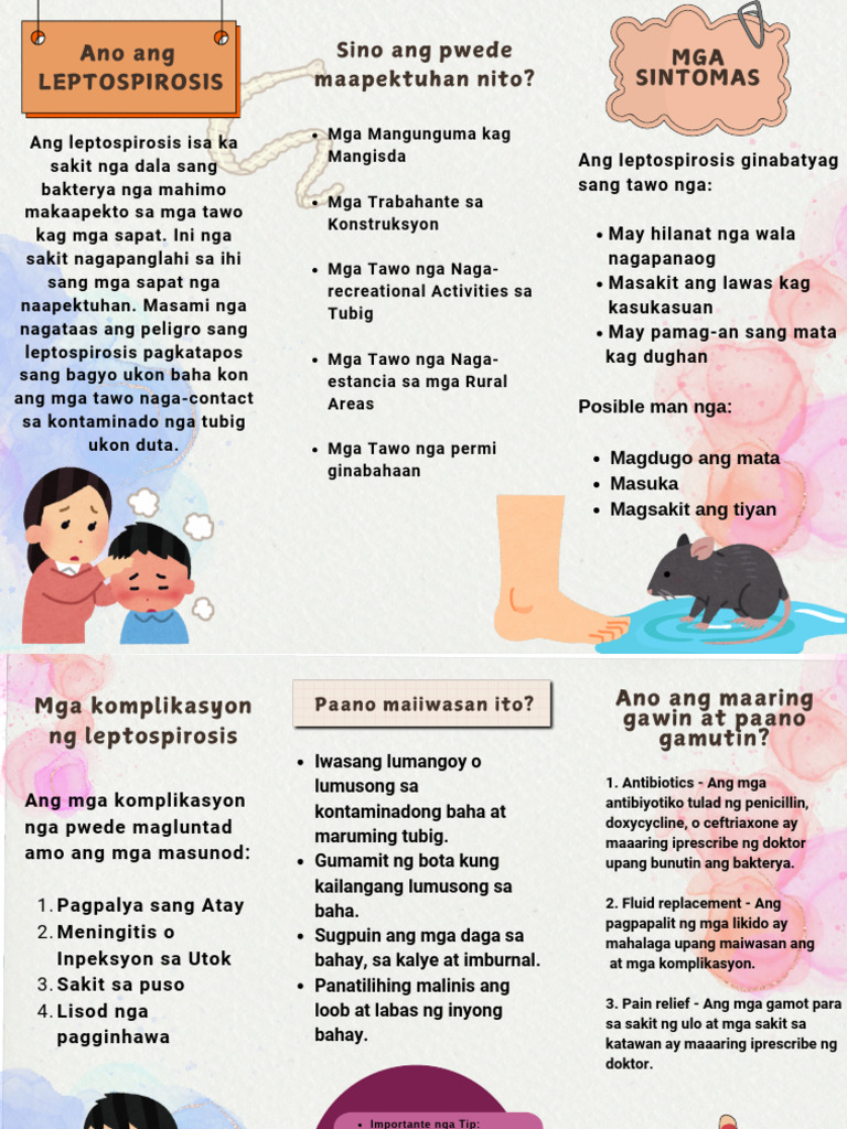 Leptos PAMPHLET | PDF