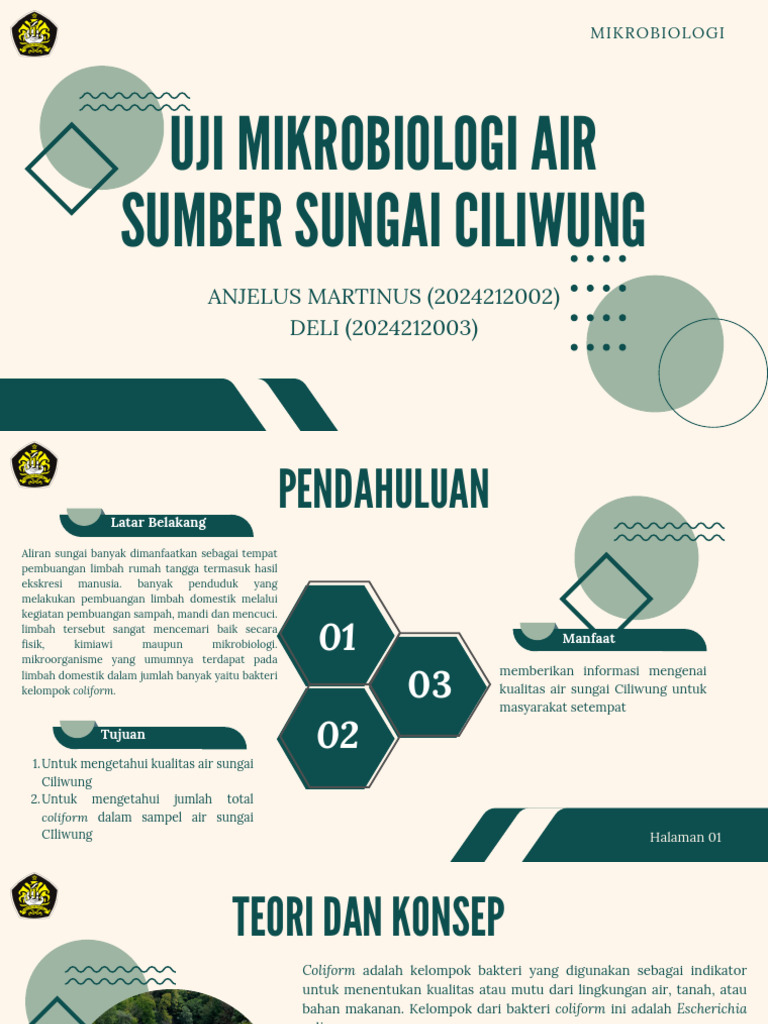J.M5. Uji Mikrobiologi Air Sumber Sungai Ciliwung | PDF