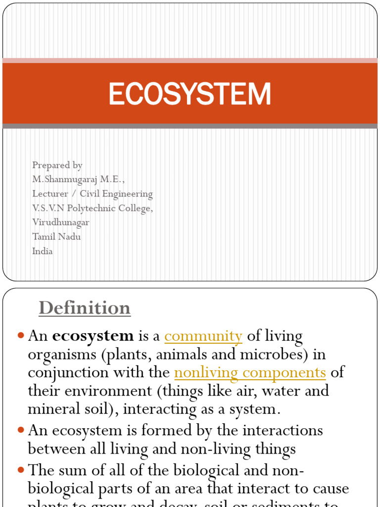 Ecosystem 141128100349 Conversion Gate01 | PDF | Ecosystem | Foods