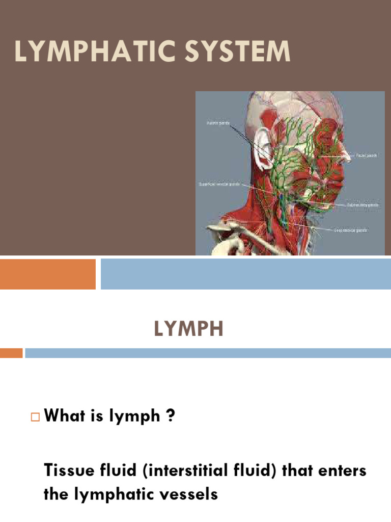 5 lymphatic_system | PDF | Lymphatic System | Lymph