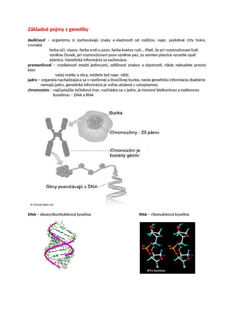 Pomocka Z Genetiky | PDF
