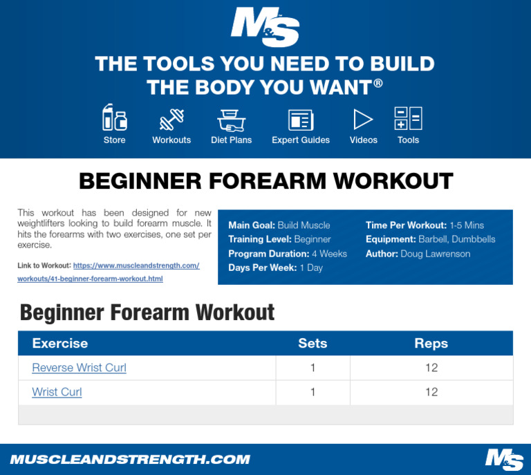 Beginner Forearm Work Out | PDF