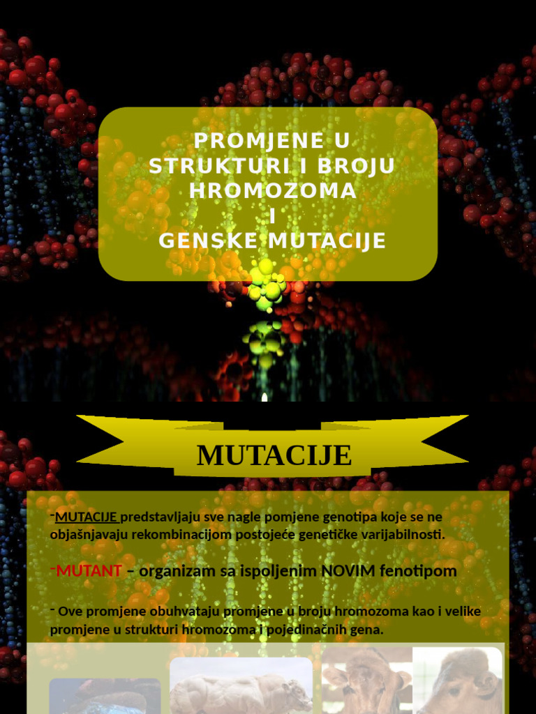 Promjene U Strukturi I Broju Hromozoma I Genske Mutacije | PDF