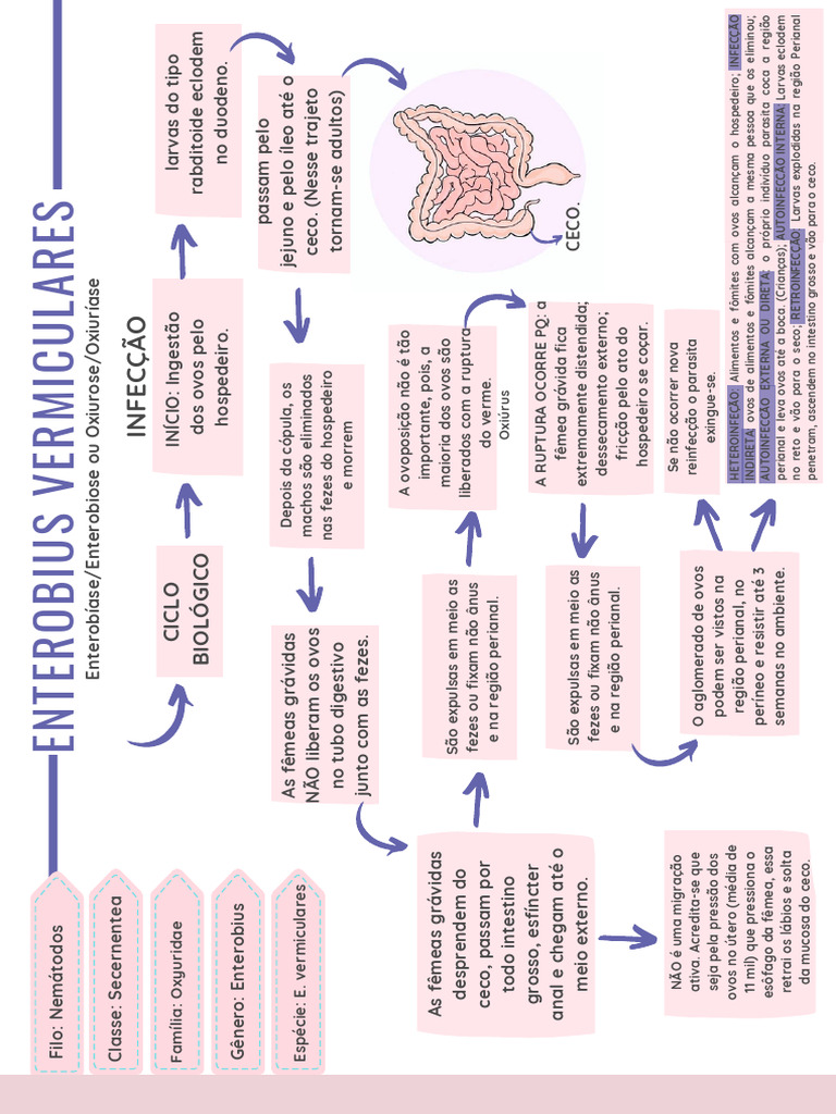 Mapa Mental ENTEROBIUS VERMICULARES | PDF