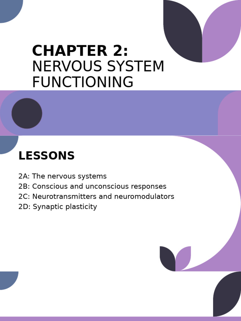 Chapter 2 - Nervous System Functioning | PDF | Synapse | Chemical Synapse