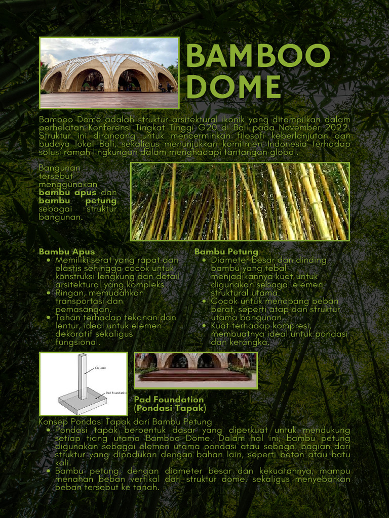 Bamboo Dome | PDF