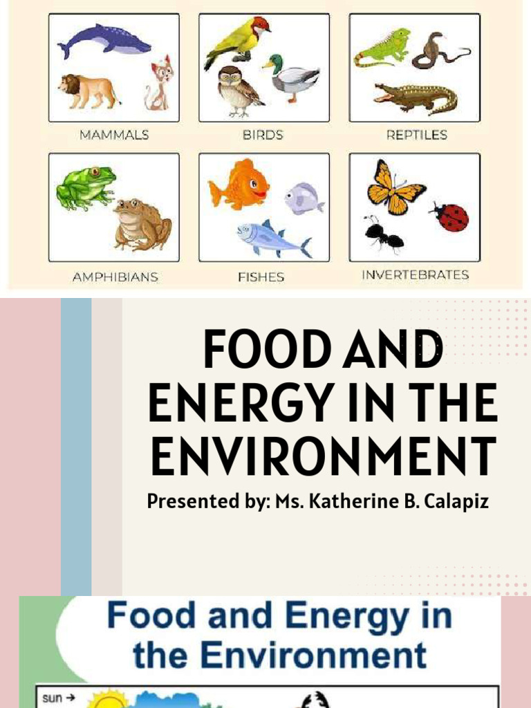 Food and Energy in The Environment - 20241204 - 125231 - 0000 ...