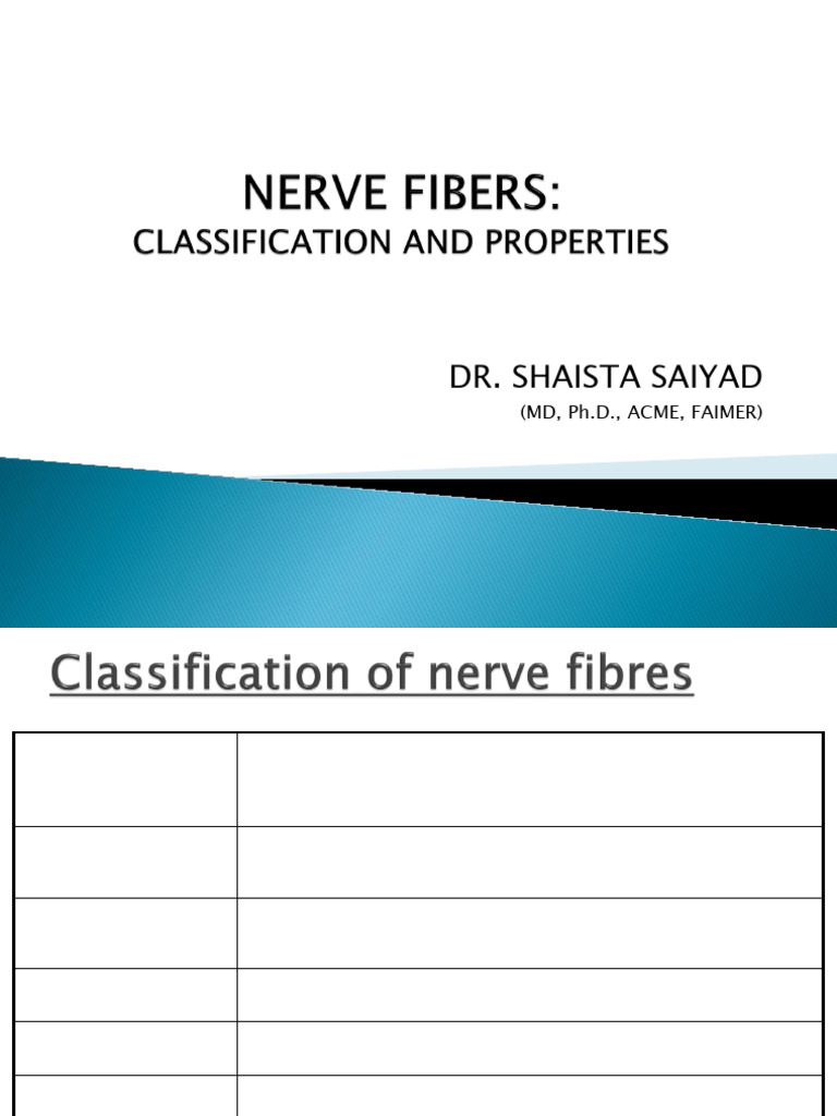2nerve Fibers - Classification and Properties | PDF | Axon | Myelin