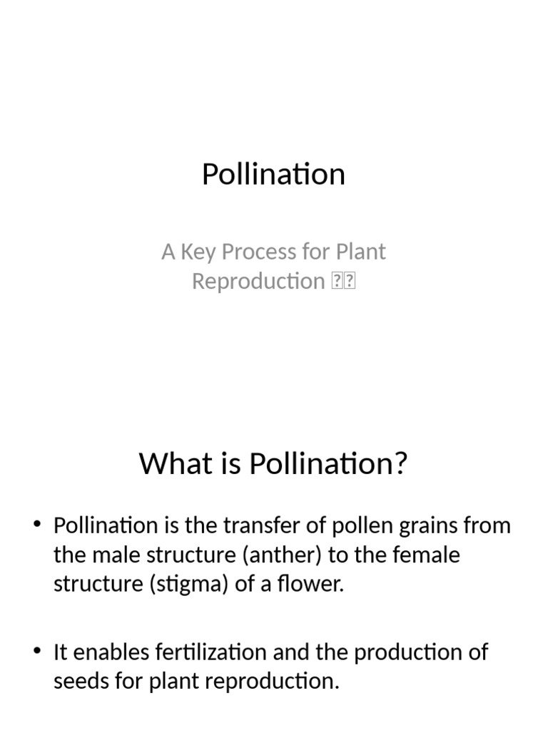 Pollination Presentation | PDF