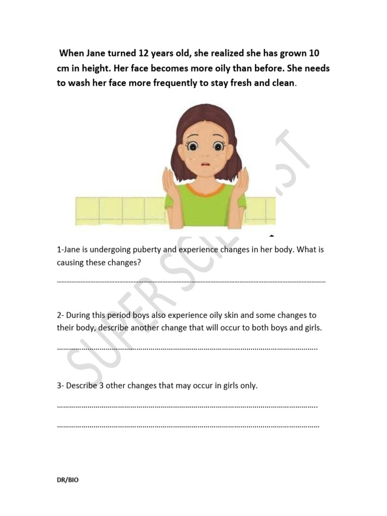 Super Scientist Year6 Revision | PDF | Blood | Artery