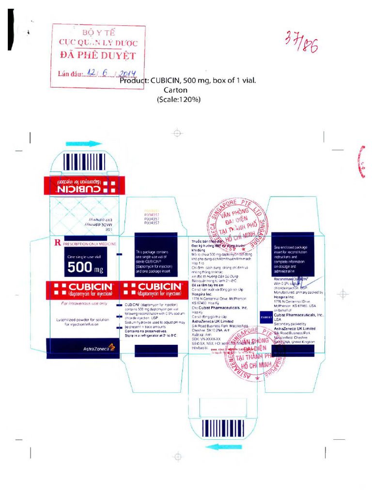 Cubicin Leaflet | PDF