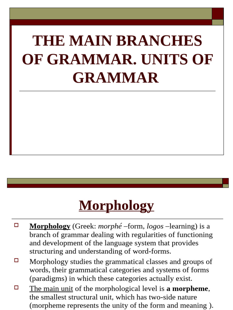 Main Branches of Grammar Explained | PDF | Morphology (Linguistics) | Word