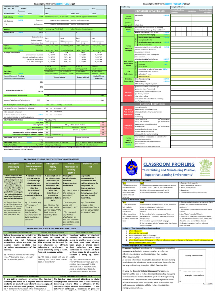 Classroom Profiling Sheet | PDF | Teachers | Nonverbal Communication