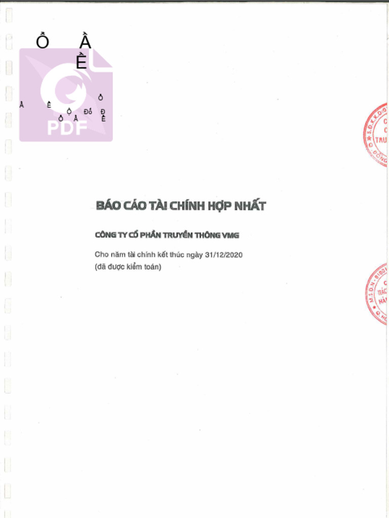 Bao Cao Tai Chinh Hop Nhat Nam 2020 Da Kiem Toan | PDF