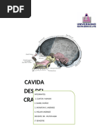 Cavidad Orbitaria, Pterigoidea, Tempora, Fosas Nasales, Pterigomaxilar ...