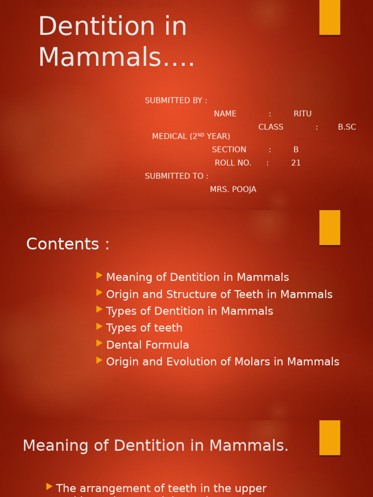 Mammalian Dentition: Structure and Types | PDF | Tooth | Mouth