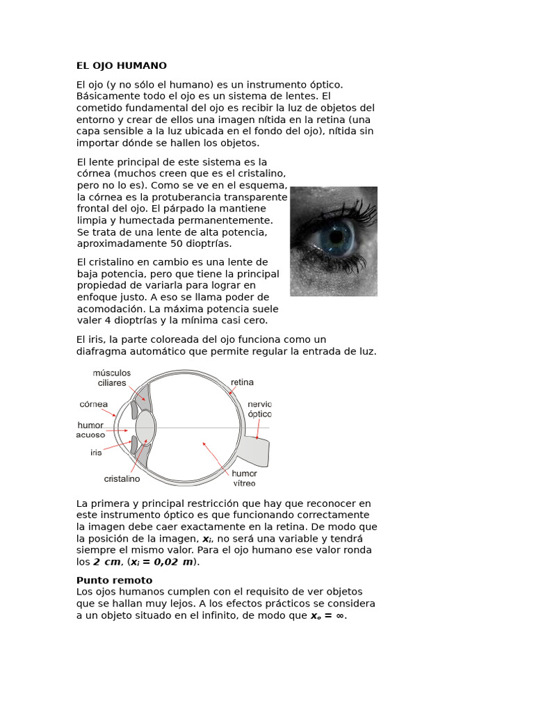 Funcionamiento Óptico del Ojo Humano | PDF | Ojo humano | Ojo