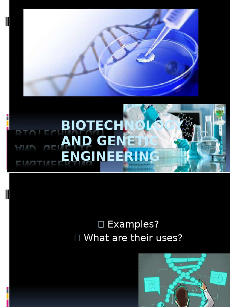SHS Q2 WEEK 4 Describe The Process of Genetic Engineering | PDF