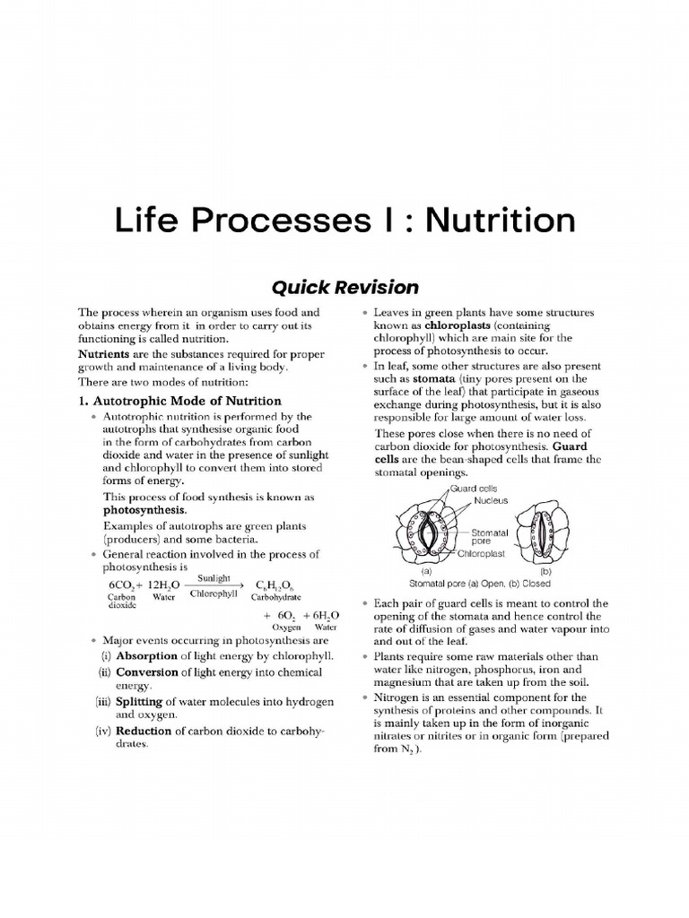 Life Process 10th | PDF