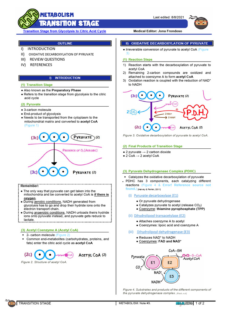 Transition Stage (Preparatory Phase) (2) Atf | PDF | Pyruvic Acid | Glycolysis