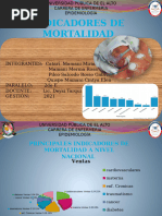 Metodologia de Calculo de AVPP | PDF | Tasa de mortalidad | Especialidades Medicas