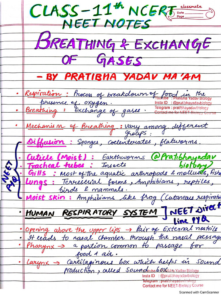 Ncert Notes With Pyq- Breathing & Exchan | PDF