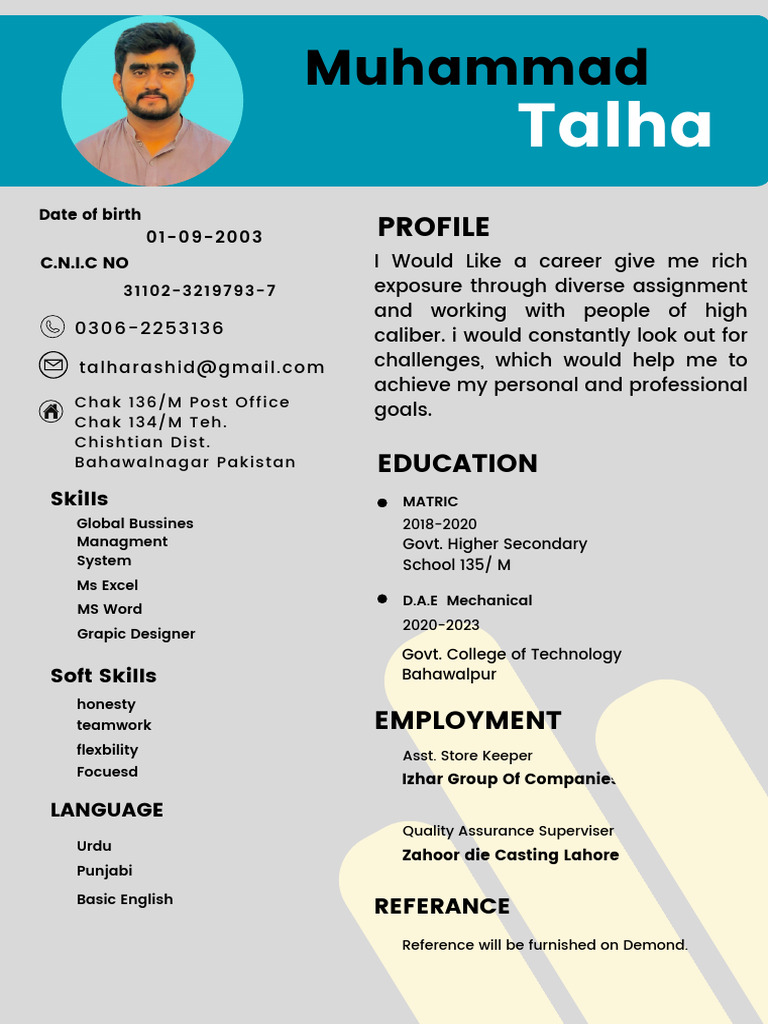 Muhammad Talha CV | PDF