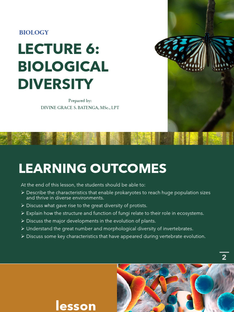 Bio Midterm Merged | PDF | Flowers | Mollusca