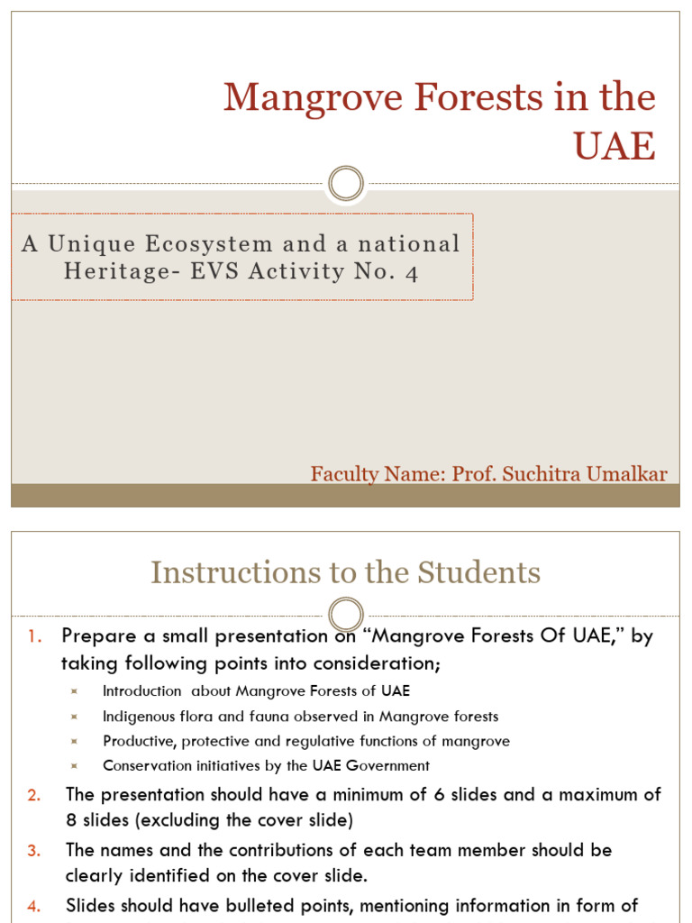 EVS Activity - 4 - Functions of Forest | PDF