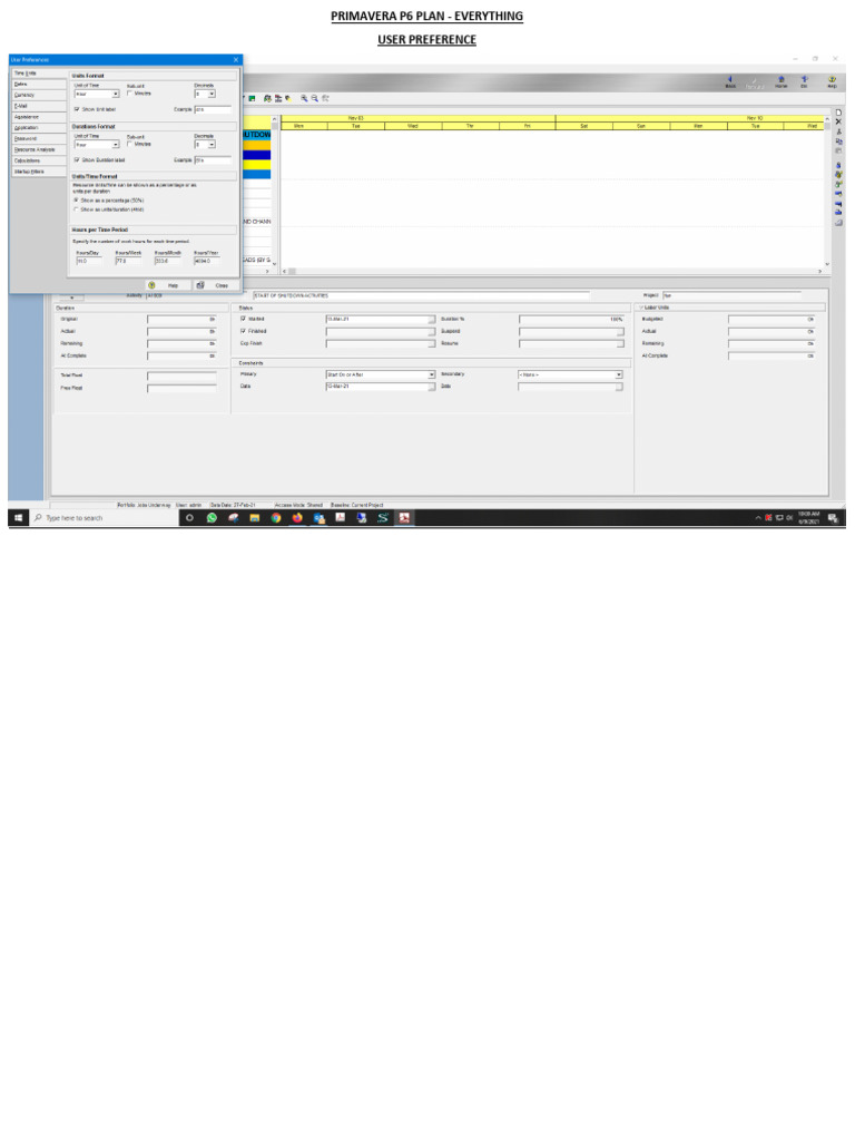 p6 Plan Setting | PDF