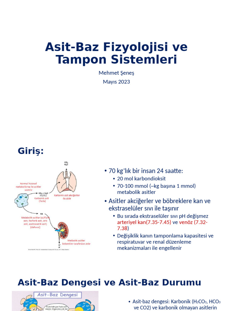 Asit-Baz Fizyolojisi Ve Tampon Sistemleri 2 | PDF