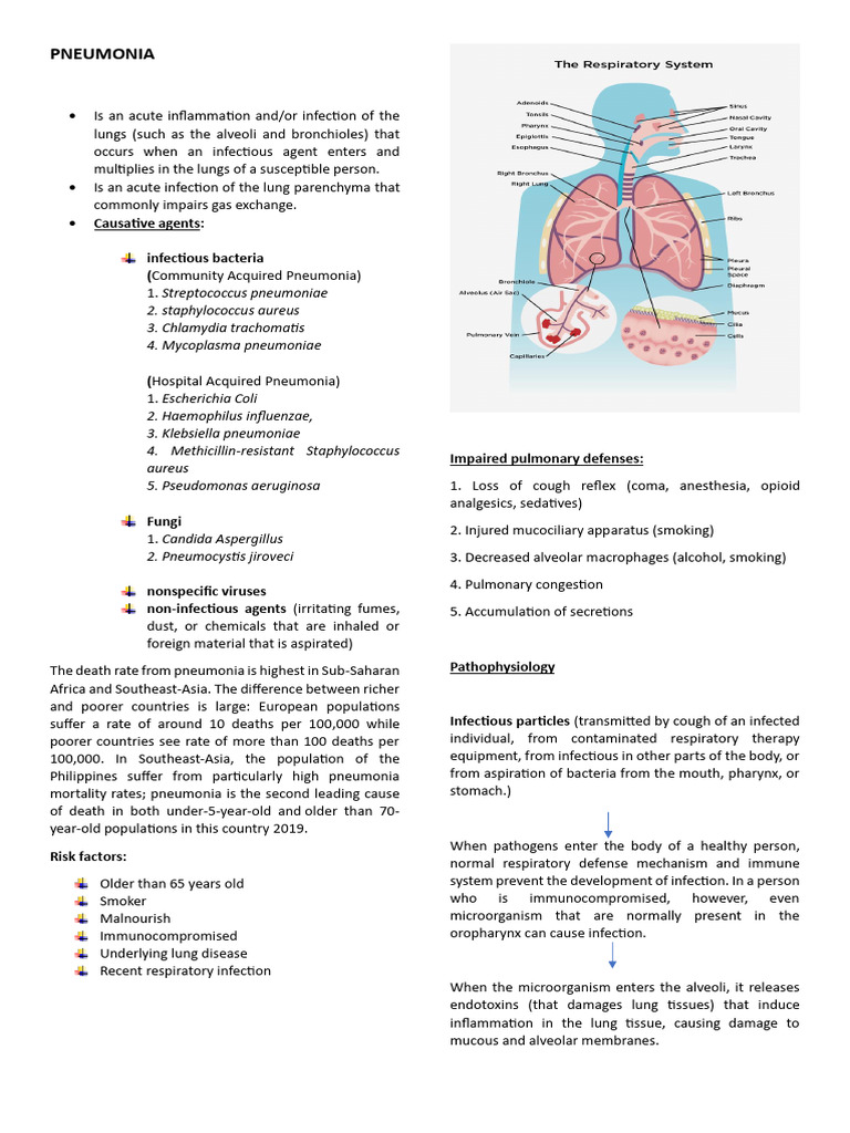PNEUMONIA-handouts-2 | PDF | Pneumonia | Lung