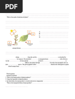 Plant Growth Observation Sheet | PDF