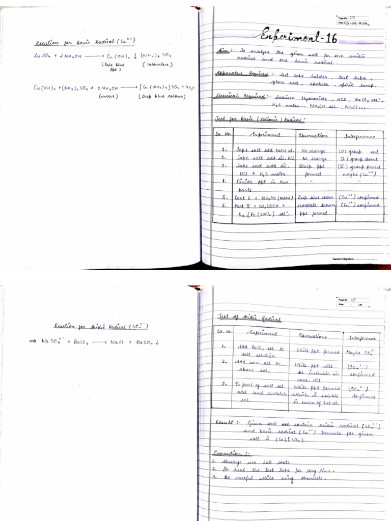 Chemistry Practicals 16-24 | PDF