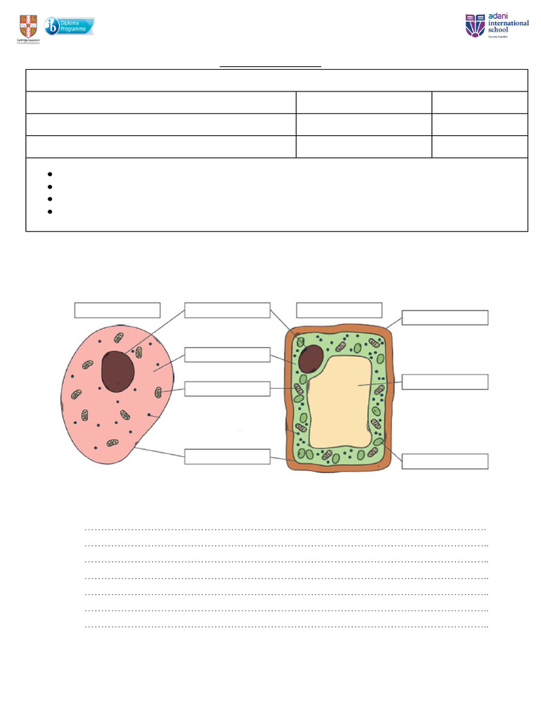 Science G6 Revision Worsheet 4 | PDF