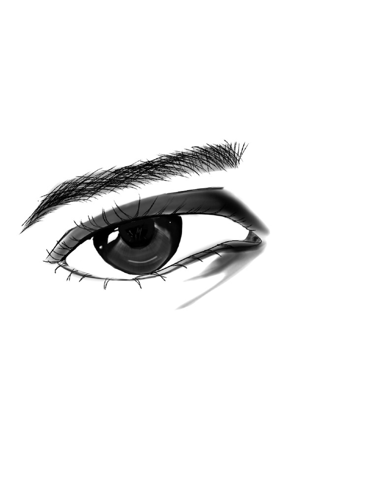 Eye Drawing | PDF