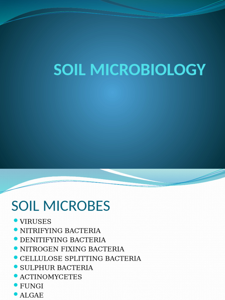 Soil Microbiology | PDF | Nitrogen | Organisms
