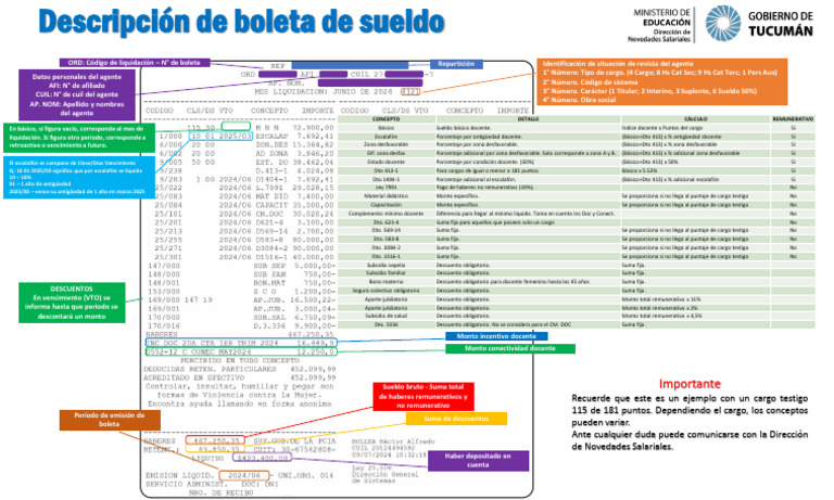 Explicacion Boleta | PDF