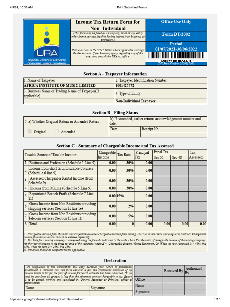 2022 Non-Individual Tax Return Form | PDF | Taxes | Taxpayer