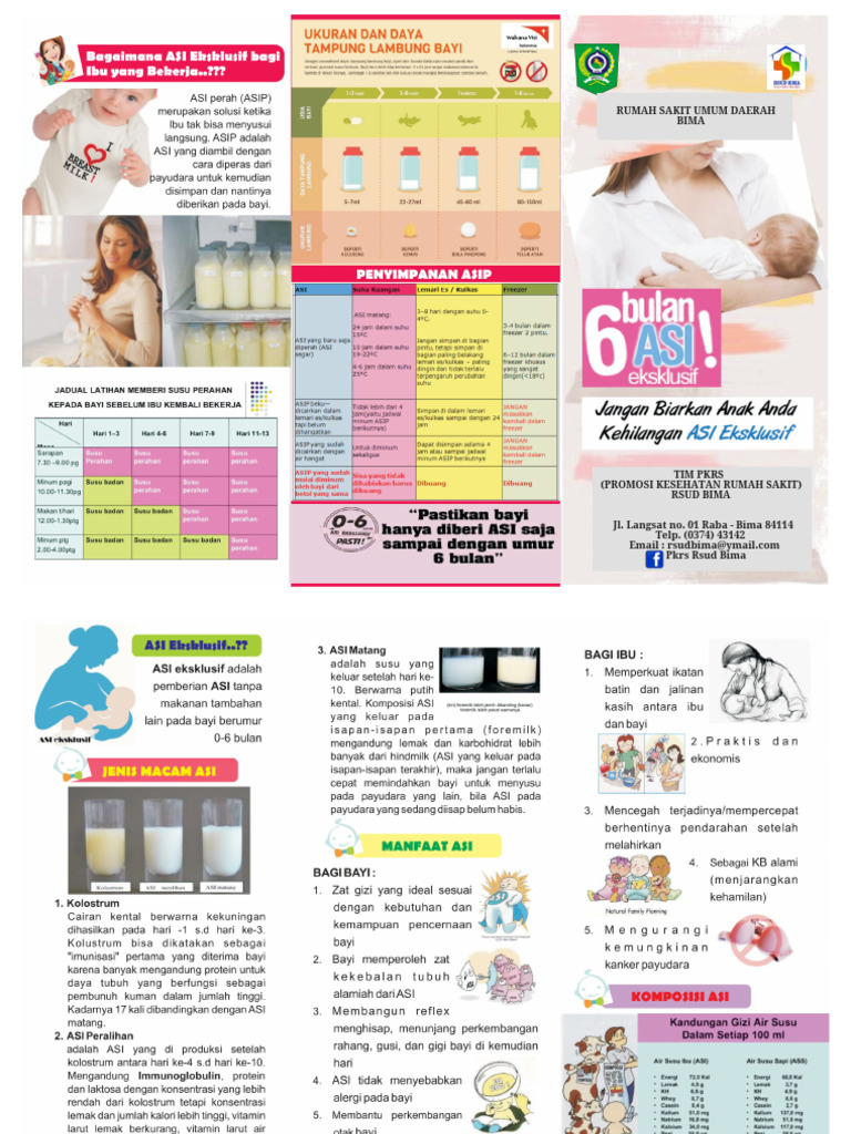 Leaflet Asi Eksklusif | PDF