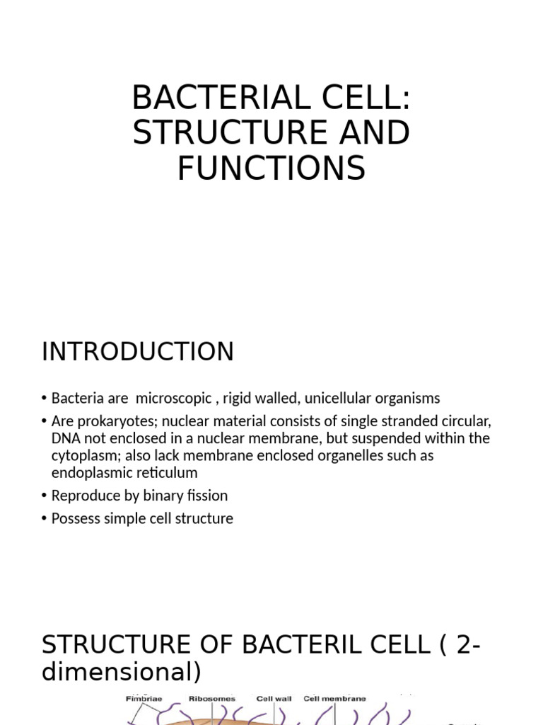 Bacterial Cell Structure And Functions Pdf Cell Biology Bacteria