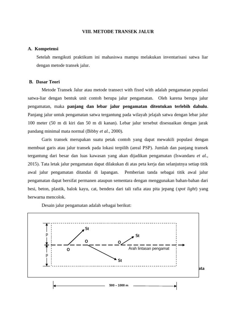 Tallysheet ISL Metode Transek Garis | PDF