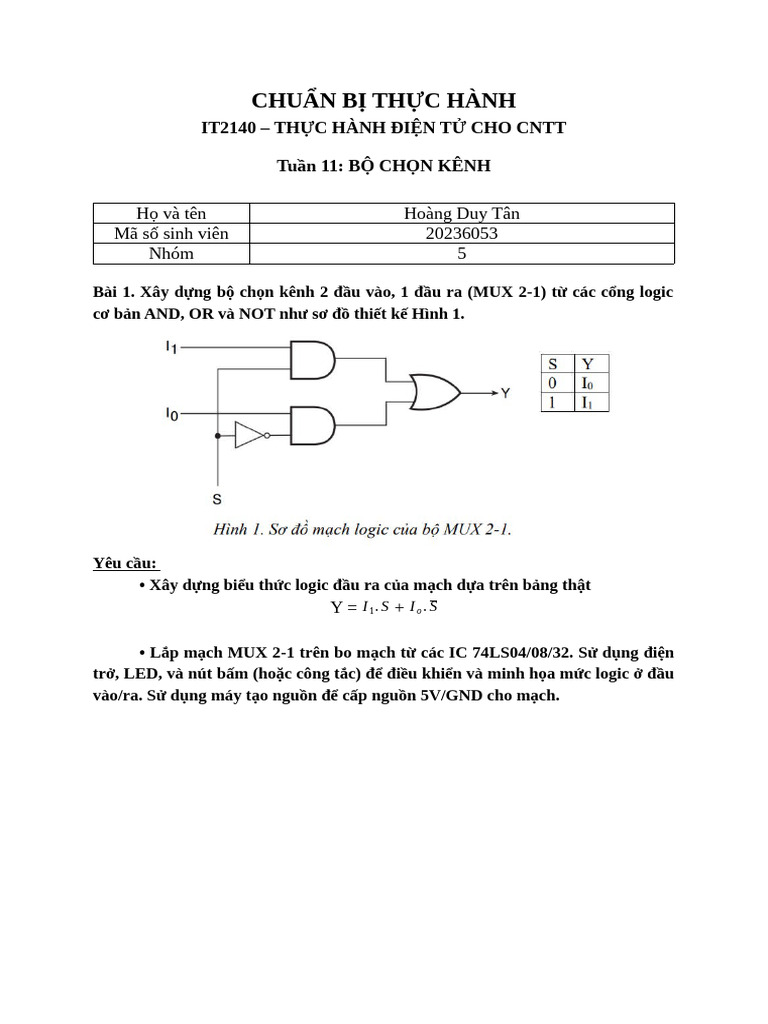 Lab 11 - (Họ và tên) - (MSSV) - (Nhóm) - 152025 | PDF
