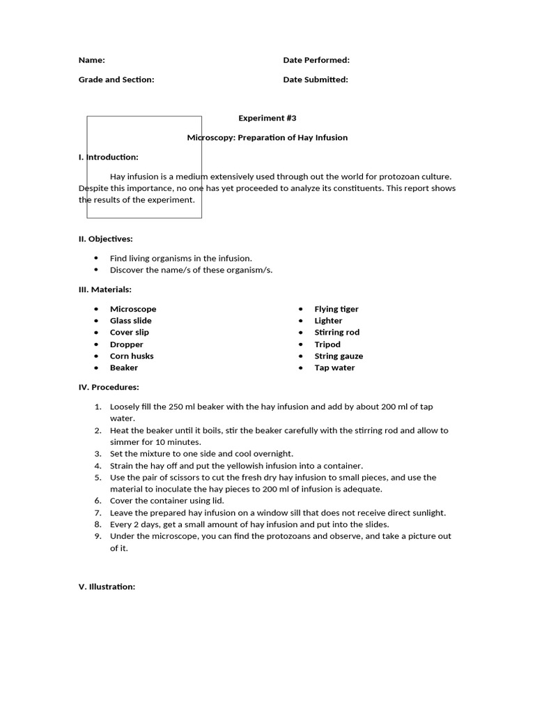 Hay Infusion Organism Analysis Report | PDF